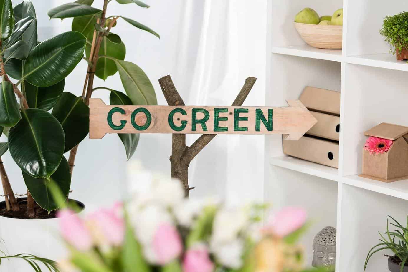 Developing a Green Mindset in a Toxic World – Simply Living Green
